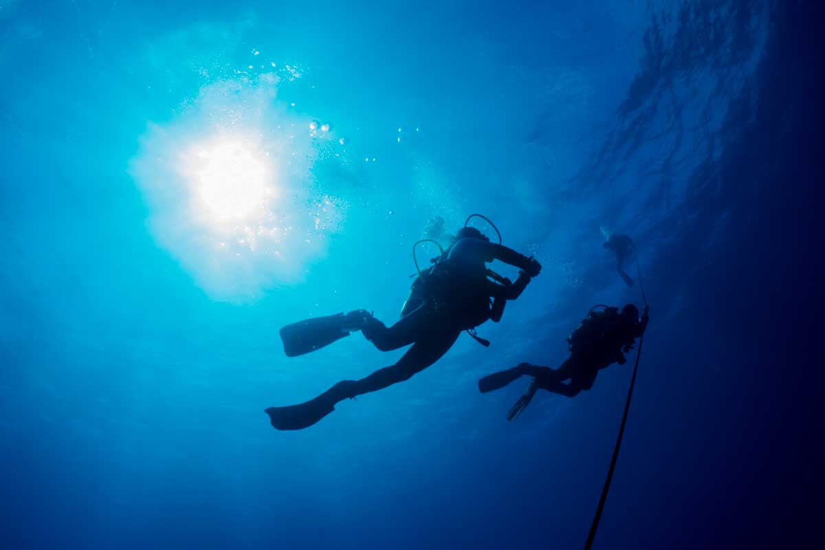 Home - NJ Swim and Scuba